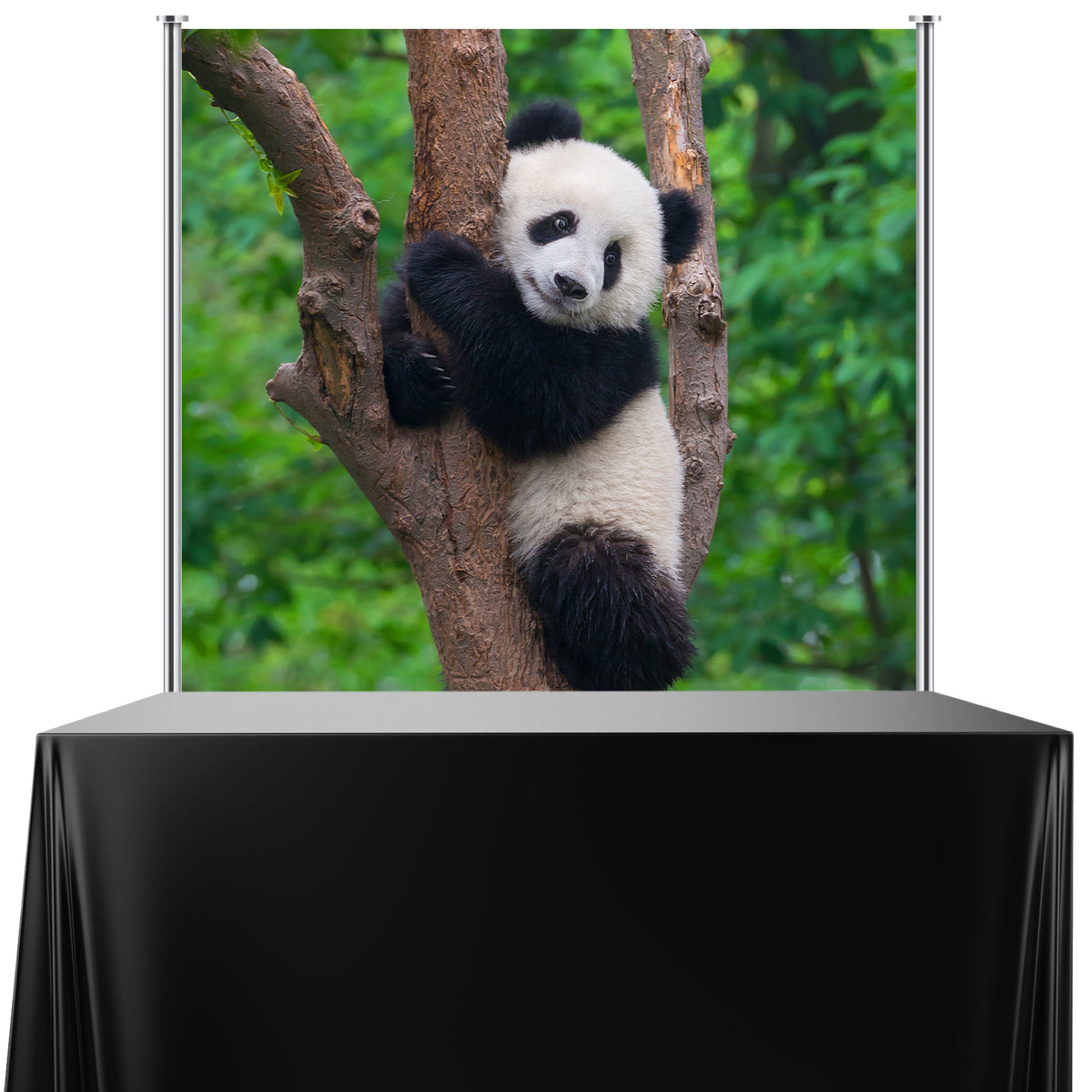 Panda Backdrop – Inspired Party Backdrops